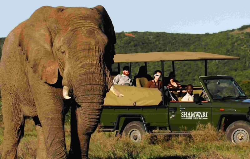 ČAROBNA JUŽNA AFRIKA | Turistična agencija Potepuh